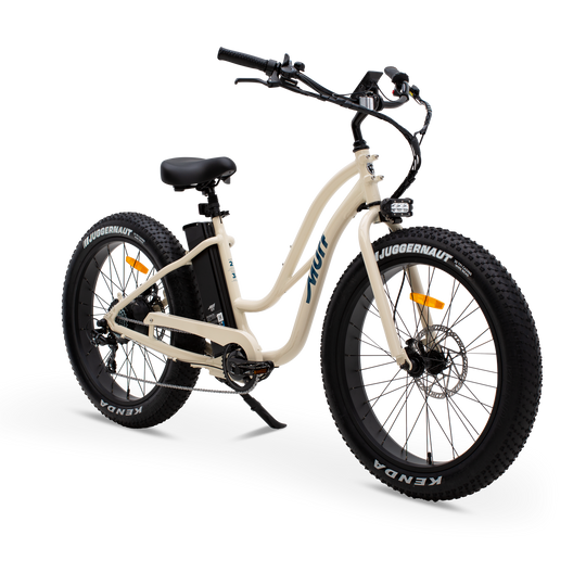 Electric Bikes (Up to 50 Mile Range) | Murf Electric Bikes