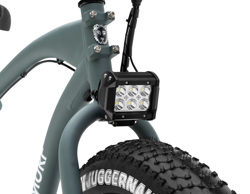 Electric Bikes (Up to 50 Mile Range) | Murf Electric Bikes