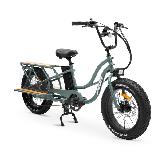 Electric Bikes (Up to 50 Mile Range) | Murf Electric Bikes